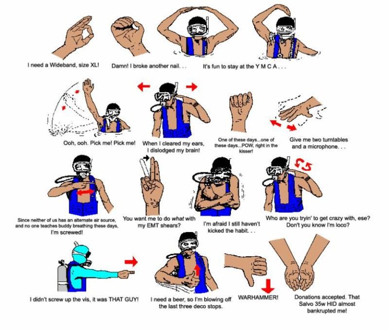 PADI Hand Signals - The Best Scuba Diving Gear